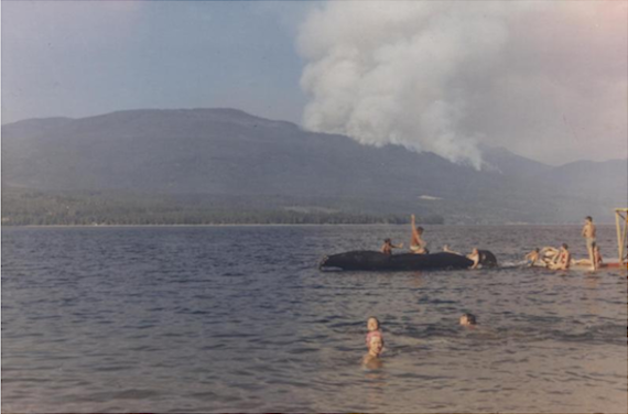 The Besnard Lakes Are the Roaring Night :: Albatross - Aquarium Drunkard