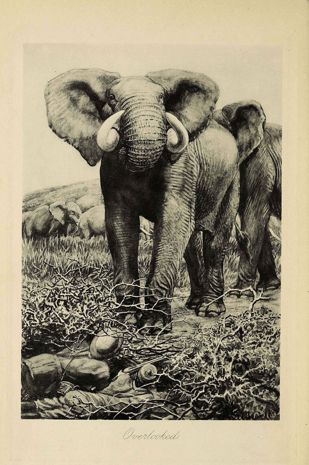 A Future History Of: The Elephant 6 Recording Co. (A Documentary ...