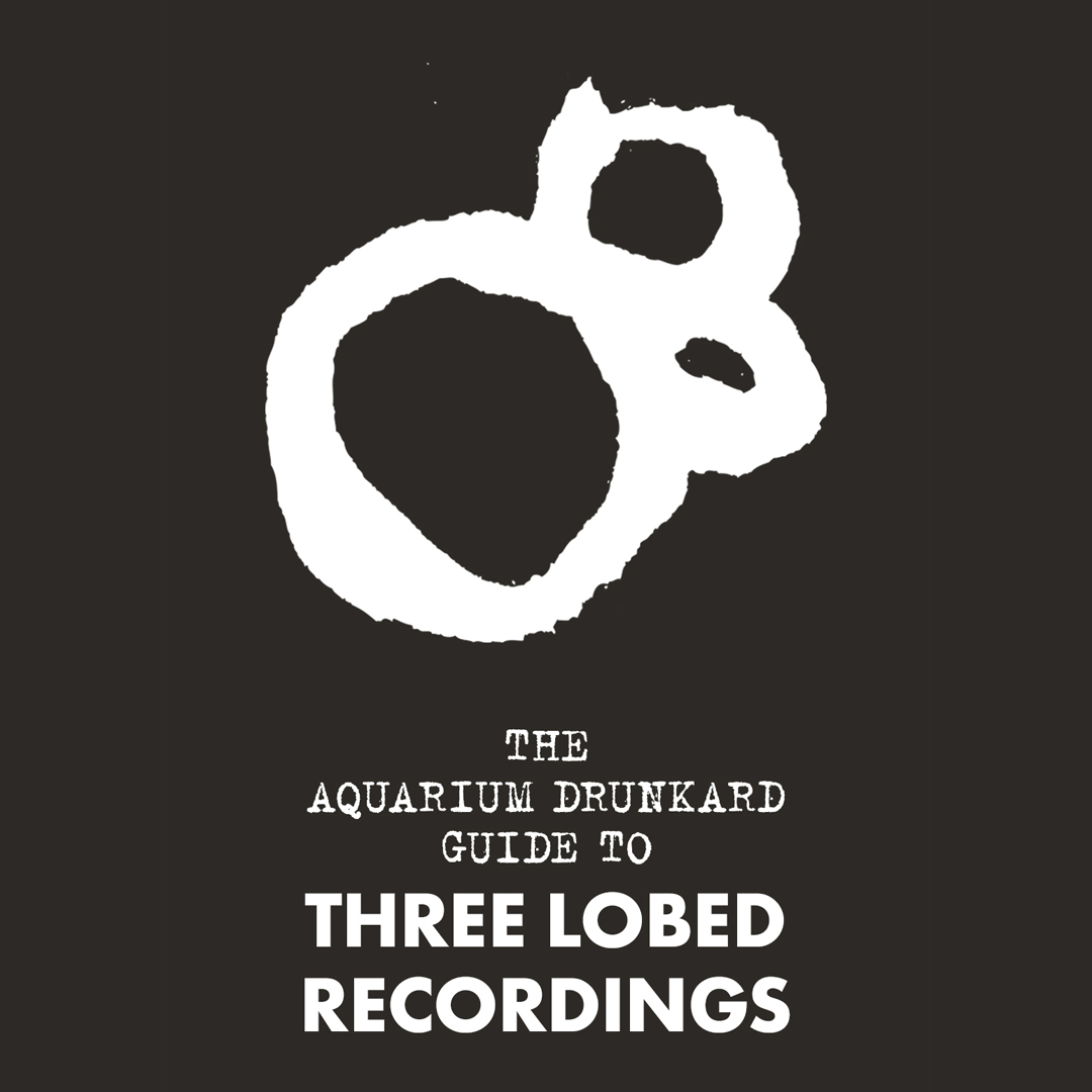 The Aquarium Drunkard Guide To Three Lobed Recordings : Aquarium Drunkard