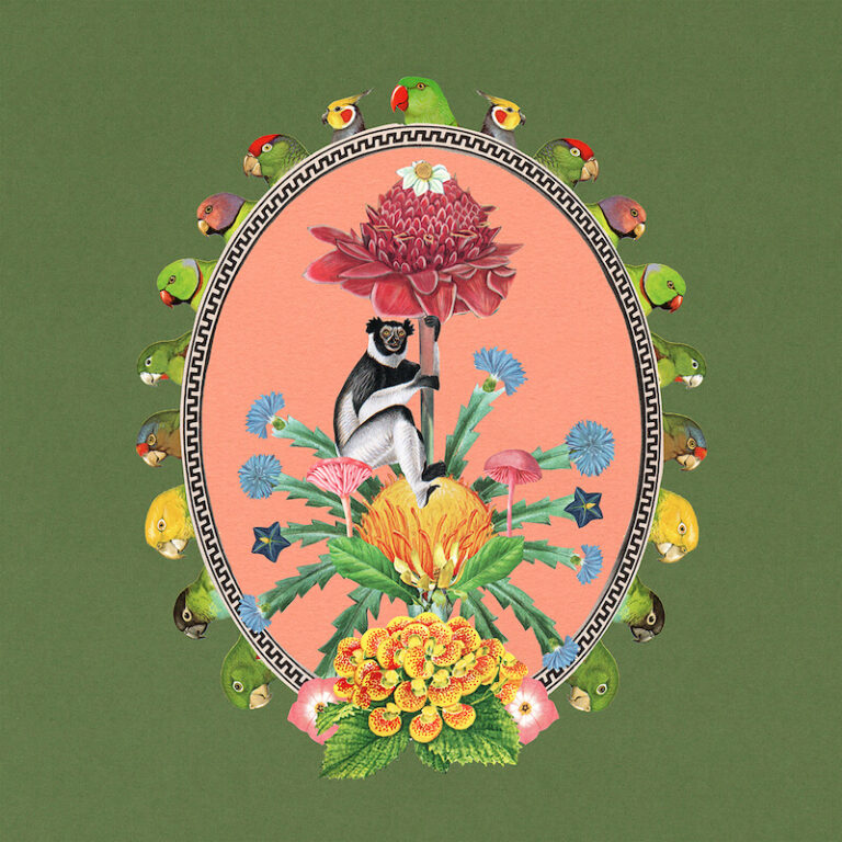 Monster Rally : Volume III (A Mixtape) : Aquarium Drunkard