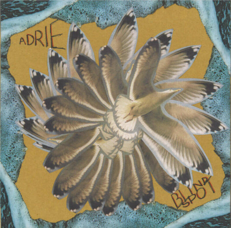Adrie : Blind Spot : Aquarium Drunkard