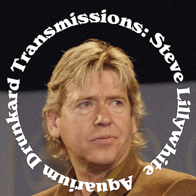 Transmissions :: Steve Lillywhite - Aquarium Drunkard