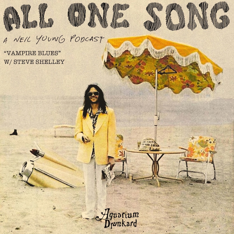 All One Song :: Steve Shelley (Sonic Youth) on “Vampire Blues ...